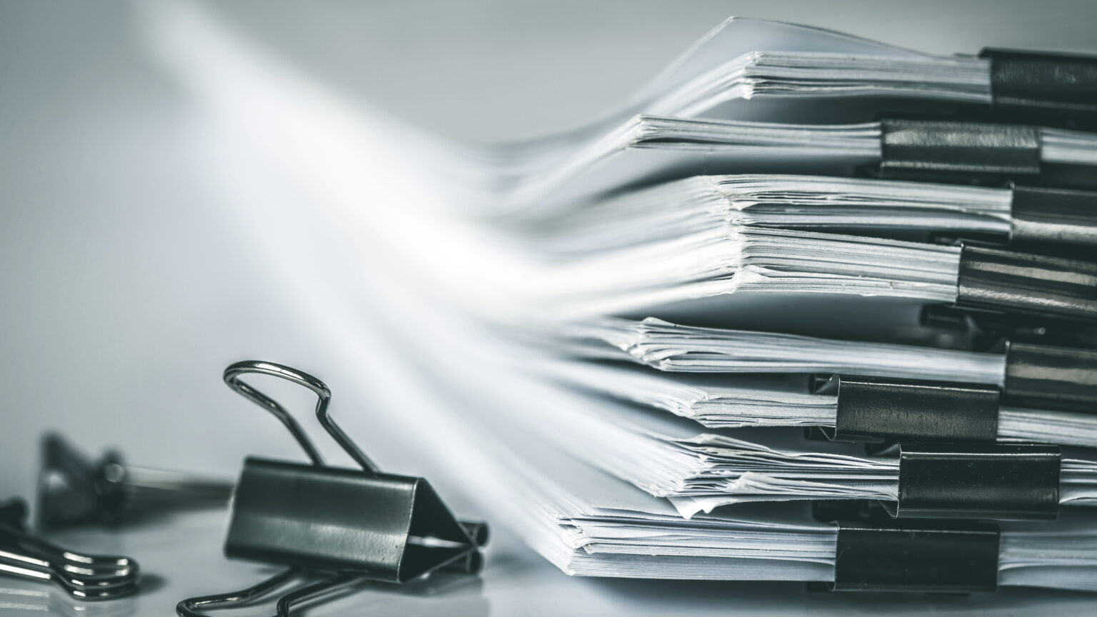 入札初心者必見！NJSSを活用したビジネスチャンス拡大術 - debono